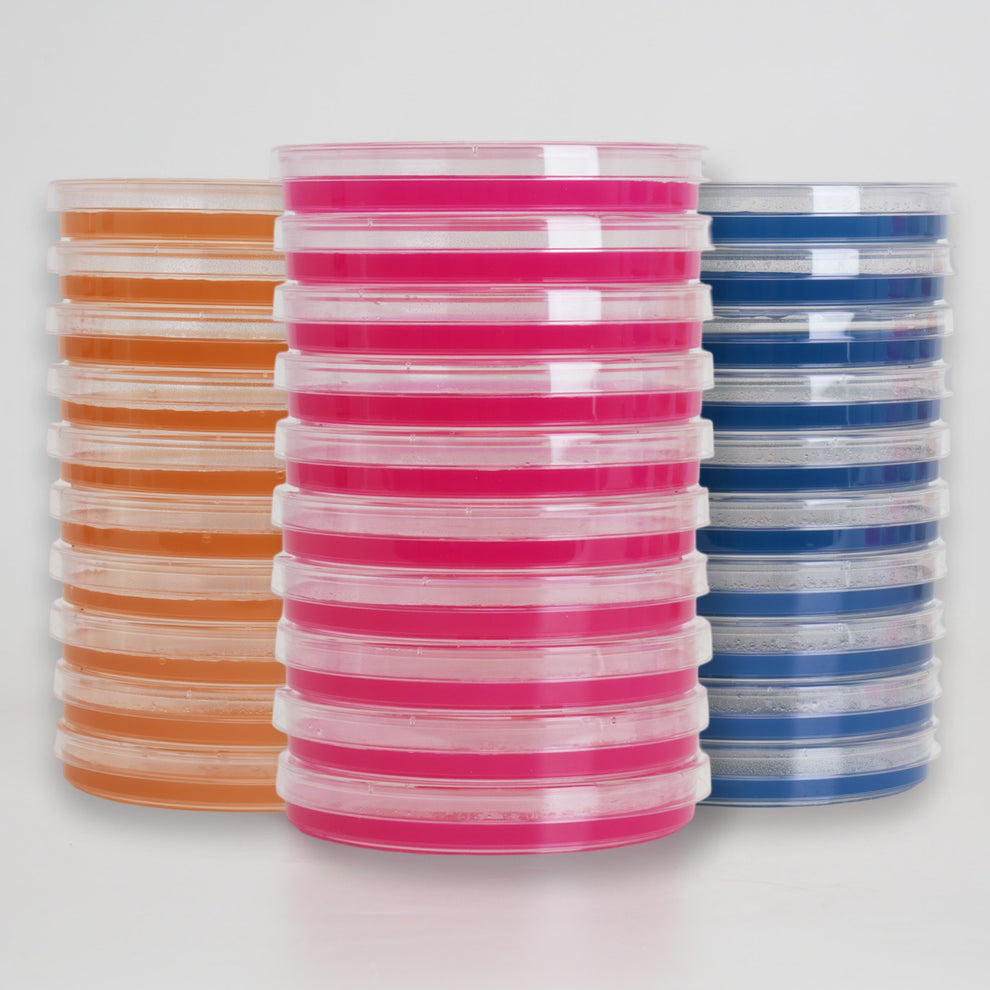 Malt Extract Agar (MEA) Plates For Mushroom Mycelium Cultivation ...