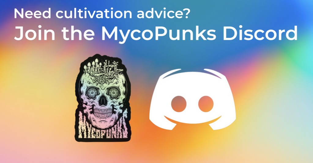 MycoPunks ~ The Best Mycology and Cultivation Supplies in the UK