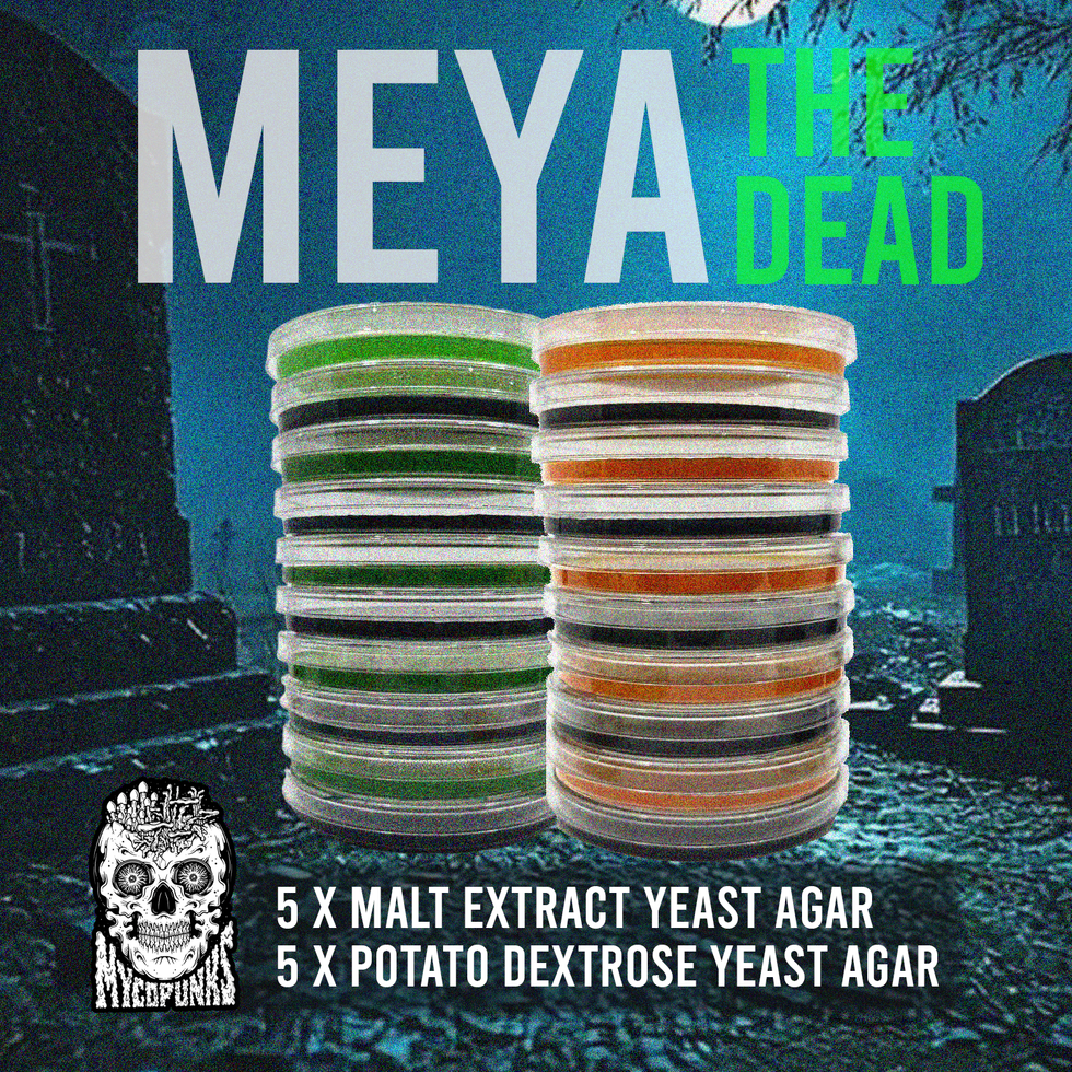 MEYA THE DEAD - LTD EDITION AGAR MIXED PACKS – MycoPunks