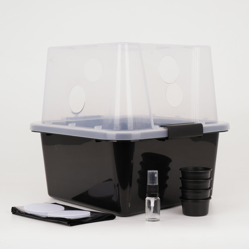 Monotub Grow Kits – MycoPunks