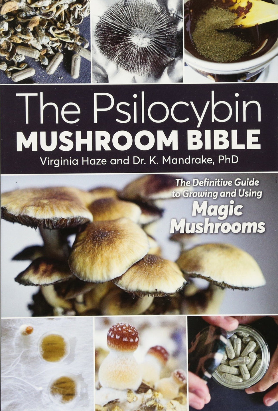 MycoPunks ~ The Best Mycology and Cultivation Supplies in the UK
